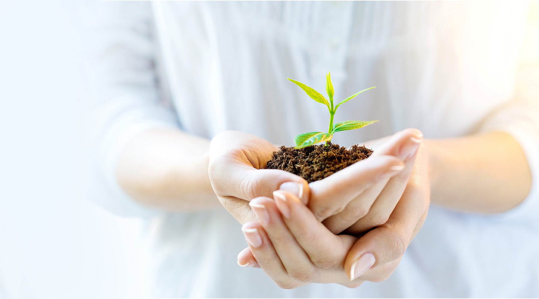 About US - FLORANZA INTERNATIONAL NURSERY